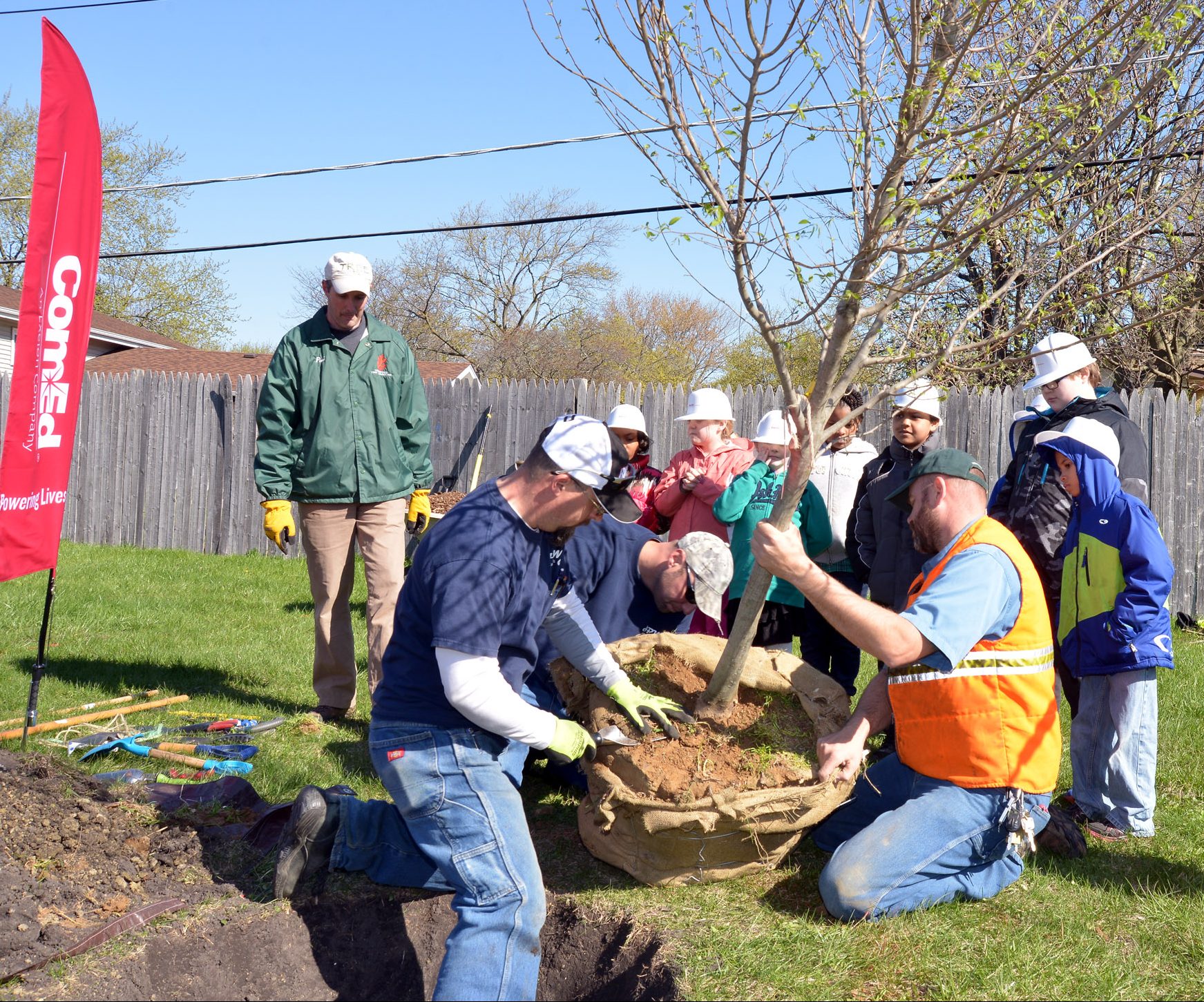 Invest in the future, plant a tree : Powering Lives Network