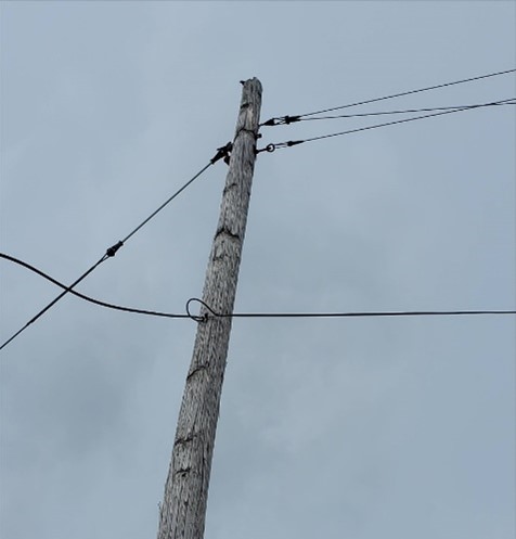 ComEd Partners with Orthodox Jewish Communities to Protect “Eruvim” for ...